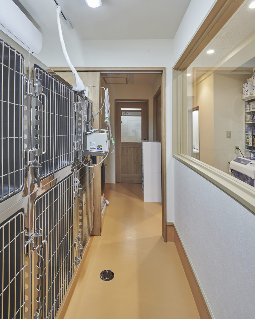 設備紹介 | おざわ動物病院