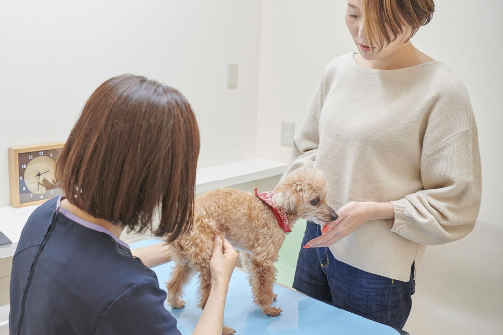 診療方針 | おざわ動物病院