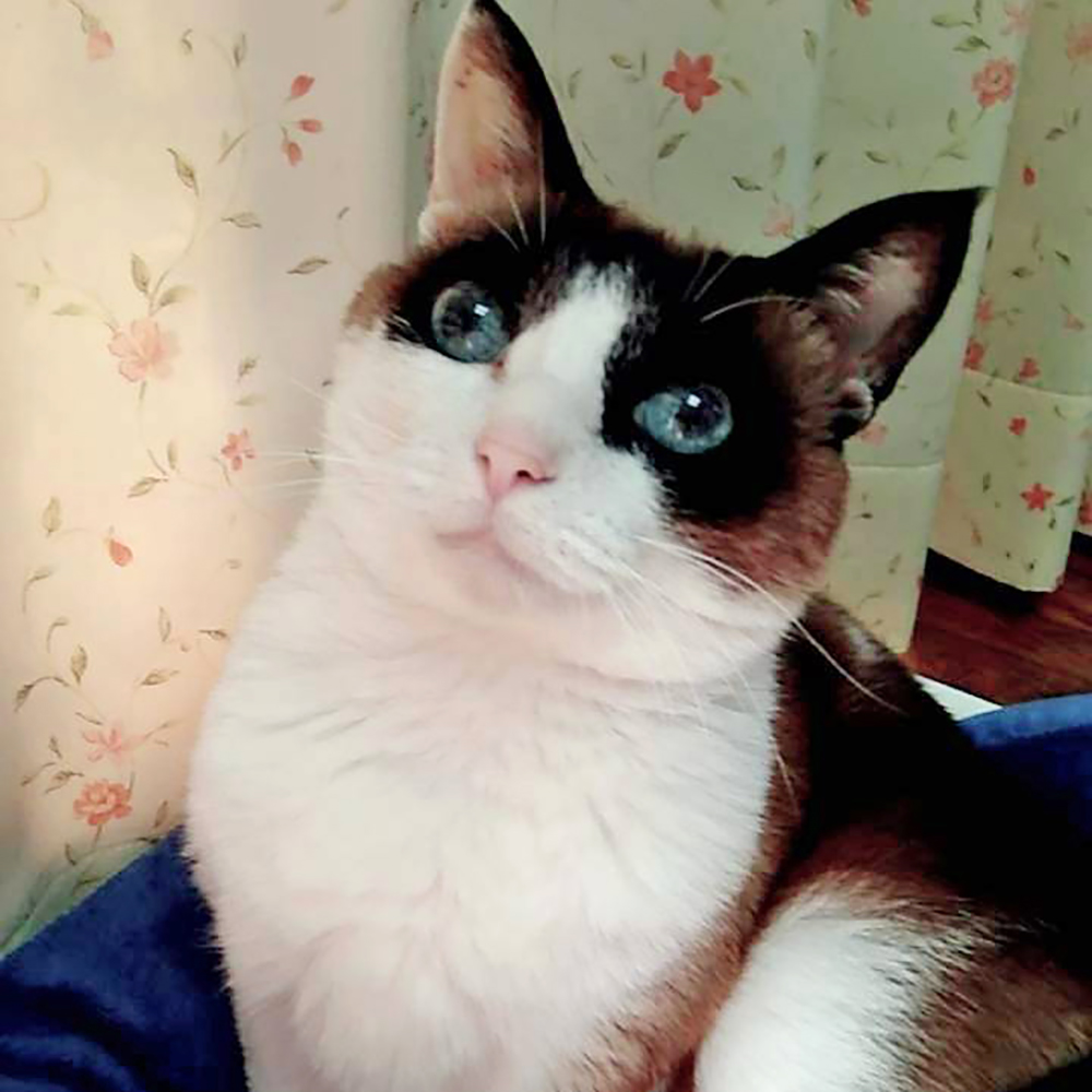 スタッフ | おざわ動物病院